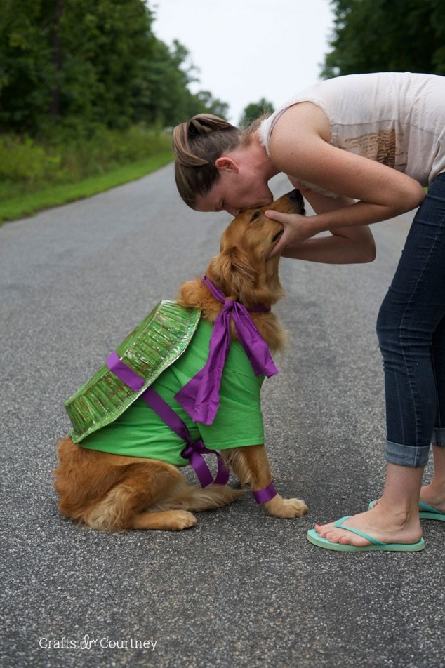 Fun Teenage Mutant Ninja Turtle Dog Costume