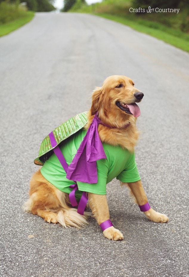 Fun Teenage Mutant Ninja Turtle Dog Costume